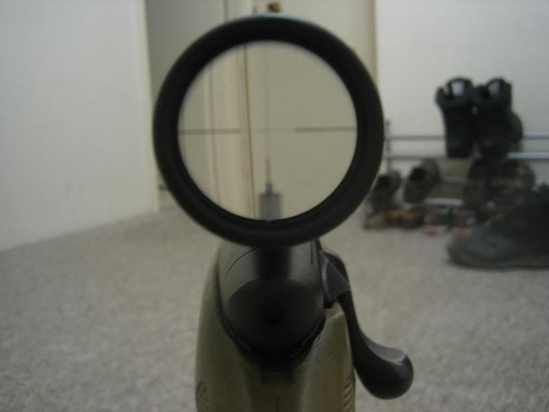 Steyr SSG 69 and Steyr Scout (Pictures) | Canadian Gun Nutz