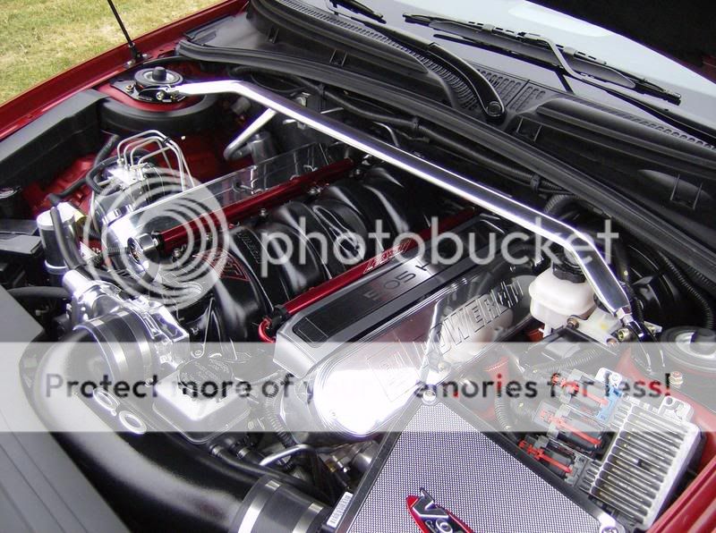 GTO engine bay - CorvetteForum - Chevrolet Corvette Forum Discussion