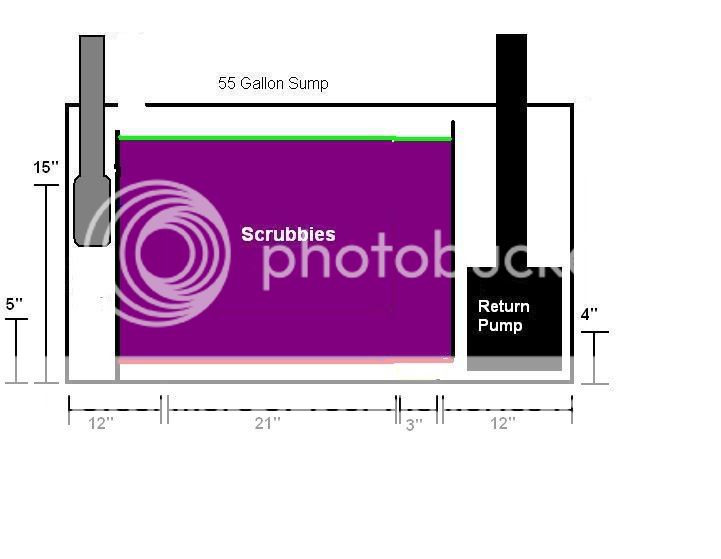 Sump design, how does it look? | MonsterFishKeepers.com