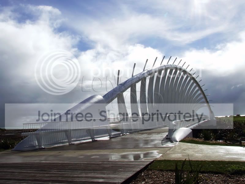 Te Rewa Rewa Bridge Taranaki | Lonely Road