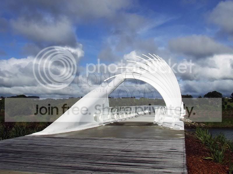 Te Rewa Rewa Bridge Taranaki | Lonely Road