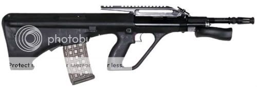 Assault Rifle info (possible guns) - Activision Community