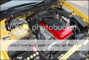 Boosted Falcon • View topic - Painting rocker cover, BA Falcon