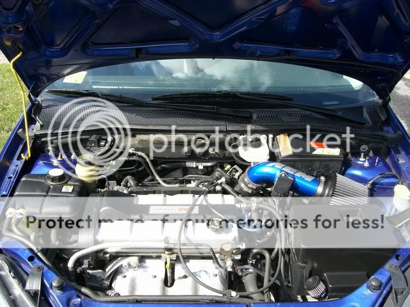 SVT engine bay pics | Focus Fanatics Forum