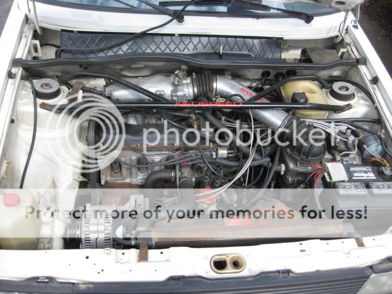 Feeler/FS: Clean 1984 Jetta GLI | VW Vortex - Volkswagen Forum