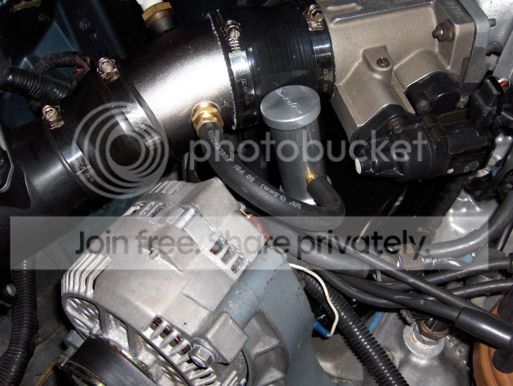 Good tall valve covers for 94 Mustang GT | SN95Forums The Only SN95 ...