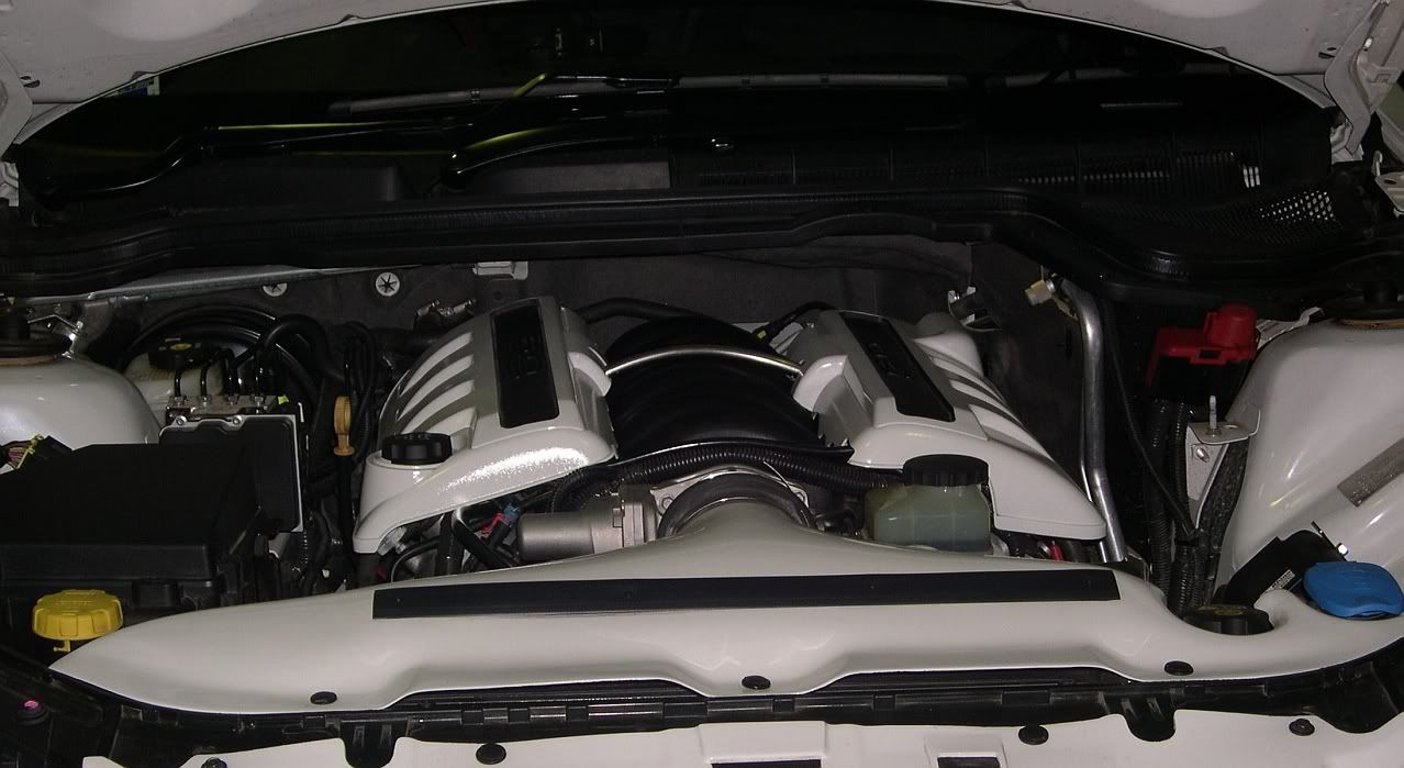 VZ LS1 Engine Covers - Part 1