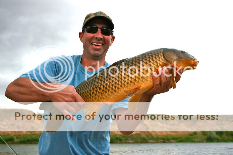 Some Early Season Herps... and the Lampros - Field Herp Forum