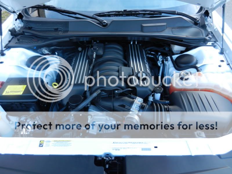 Arrington Oil Catch Can Review and Pictures | Dodge Challenger Forum